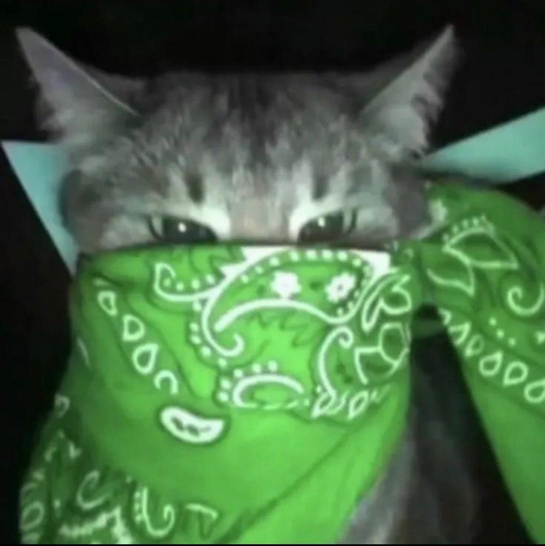 Check out Antavious Cotton (@skull) on Linkme